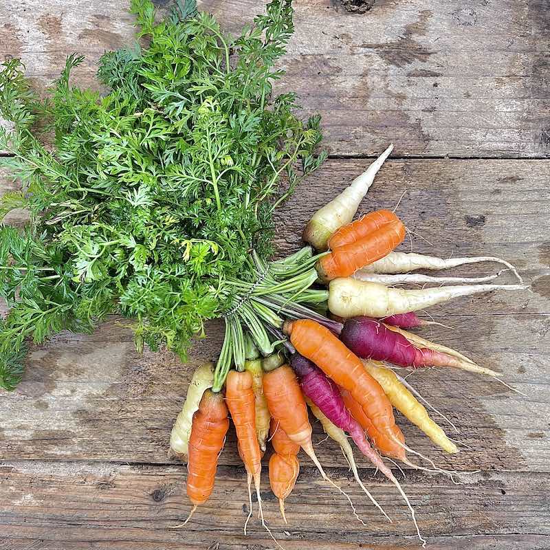 Mini-carottes couleurs en click & collect à Orvault