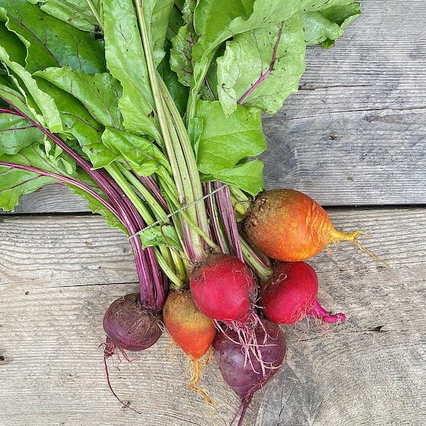 Betteraves couleurs (botte) en click & collect à Orvault