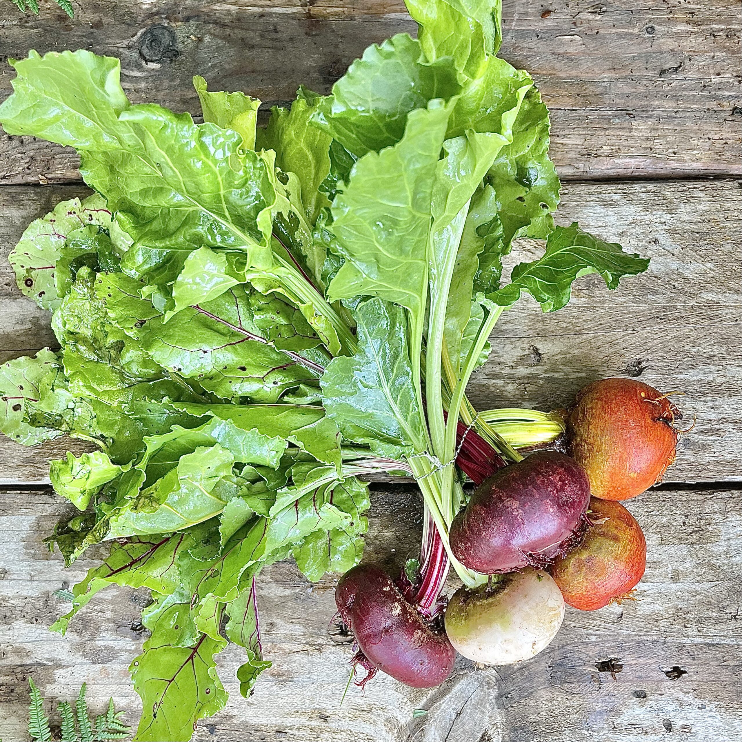 Betteraves couleurs (botte) en click & collect à Orvault